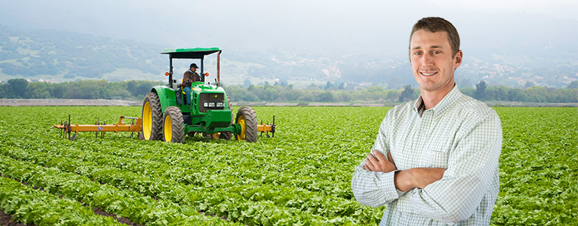 Tanimura & Antle Promotes Brett Champlin to Senior Harvest Director ...