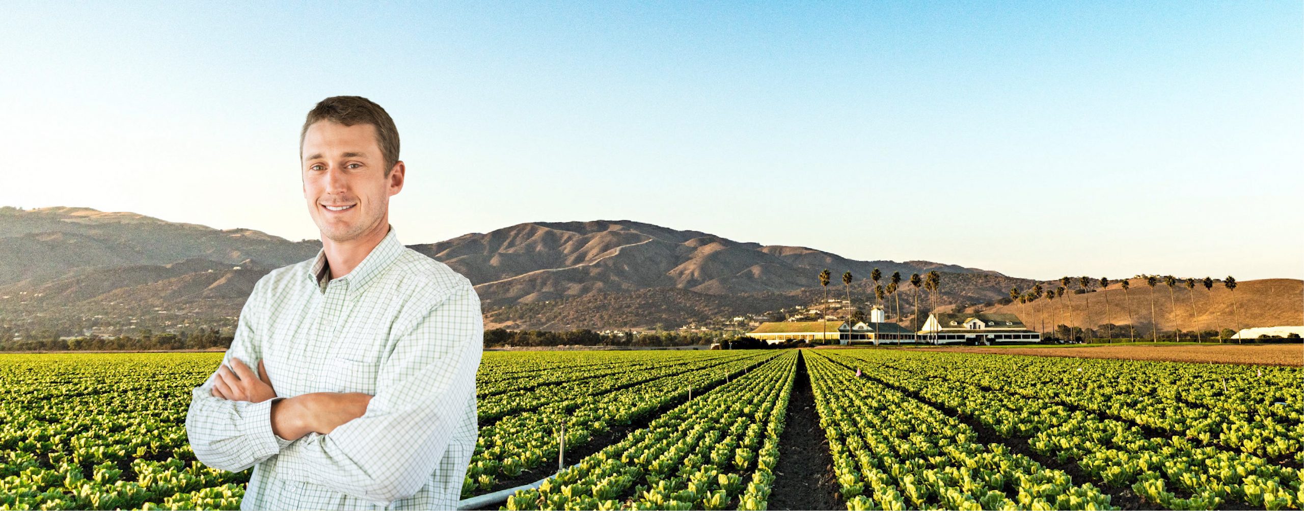 Brett Champlin Promoted to Vice President of Harvest at Tanimura & Antle - Tanimura & Antle